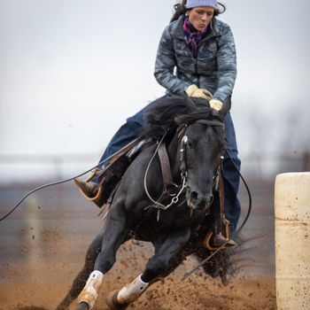 FAMOUS SIERRA Barrel Racing Proven 1D