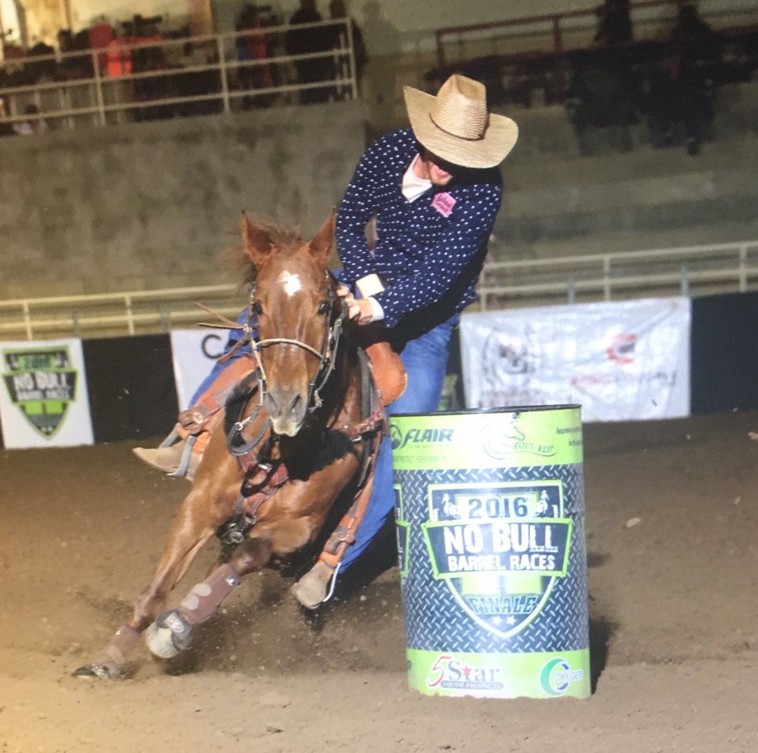 Performance Horse Hotline